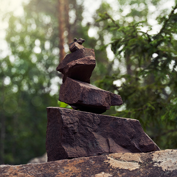 Co to jest szungit i jak działa? – Wessper